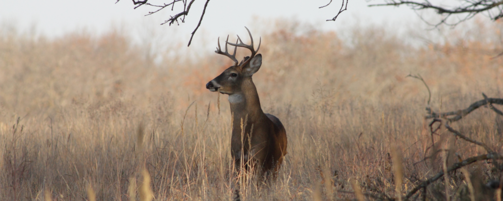 6 Tips for Prepping Deer Camp - Colorado River Land Trust