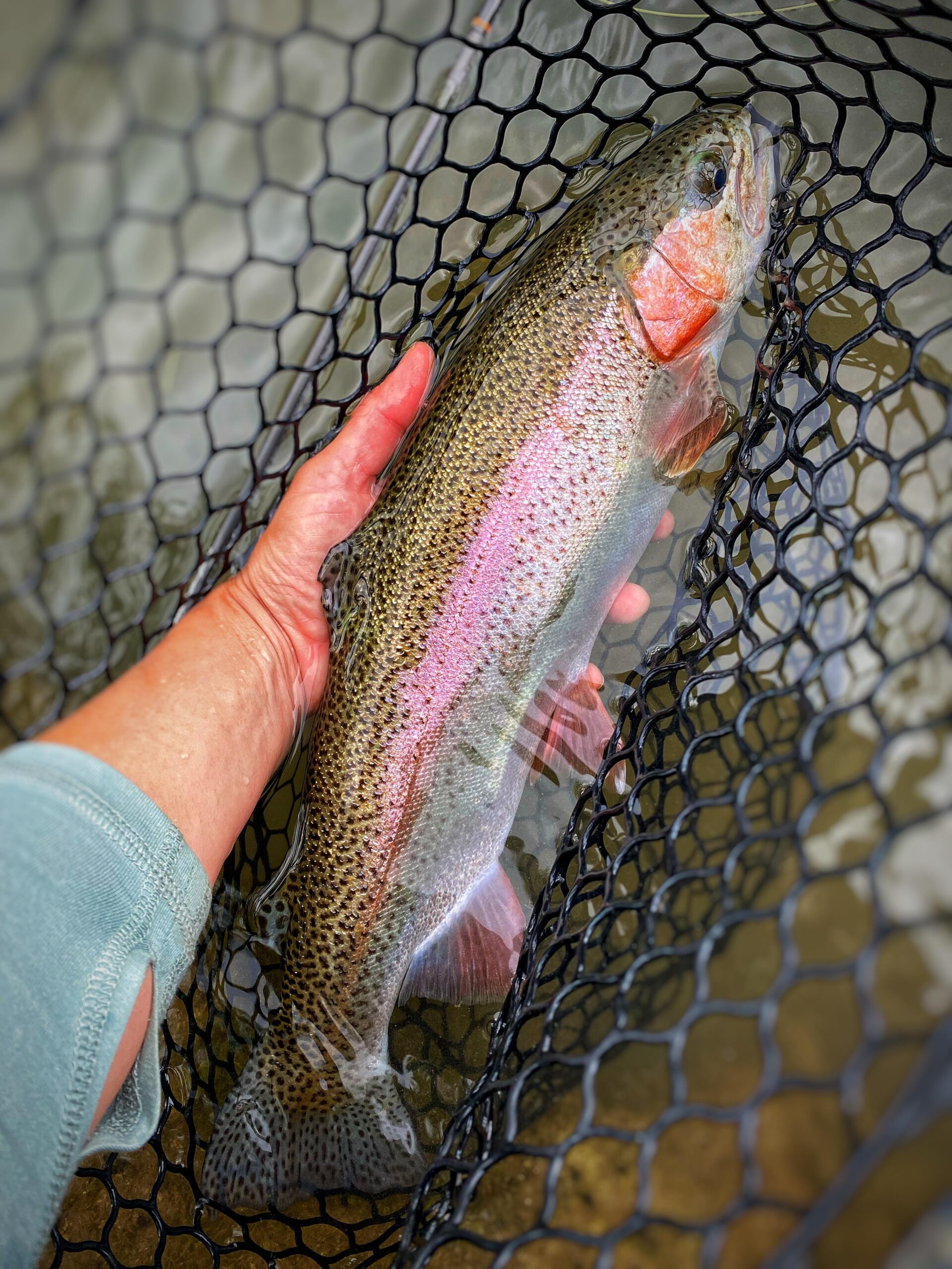 Texas, Trout, and Timelessness - Colorado River Land Trust